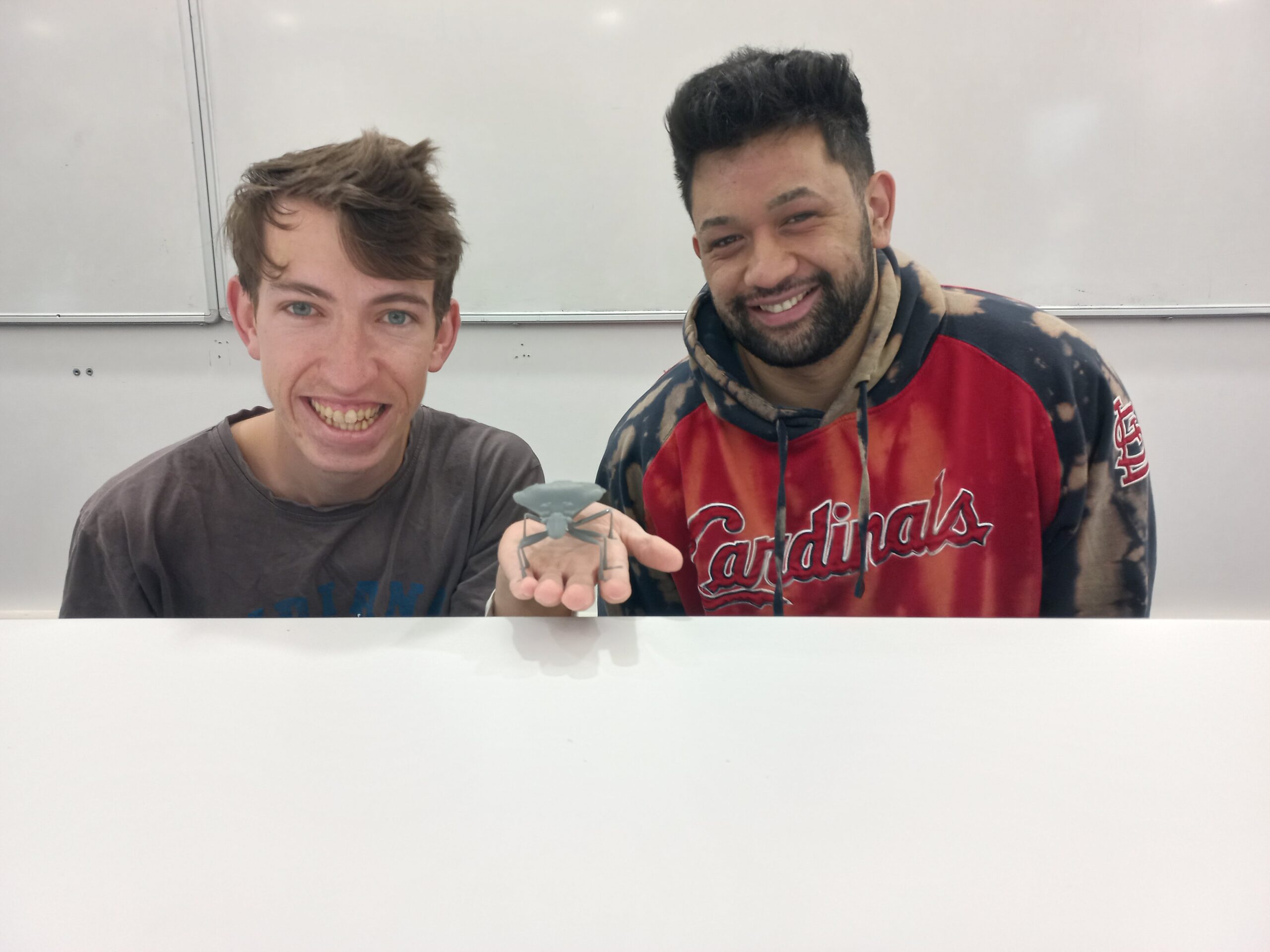 Uni students create 3D printed bug to fight threats - Idealog