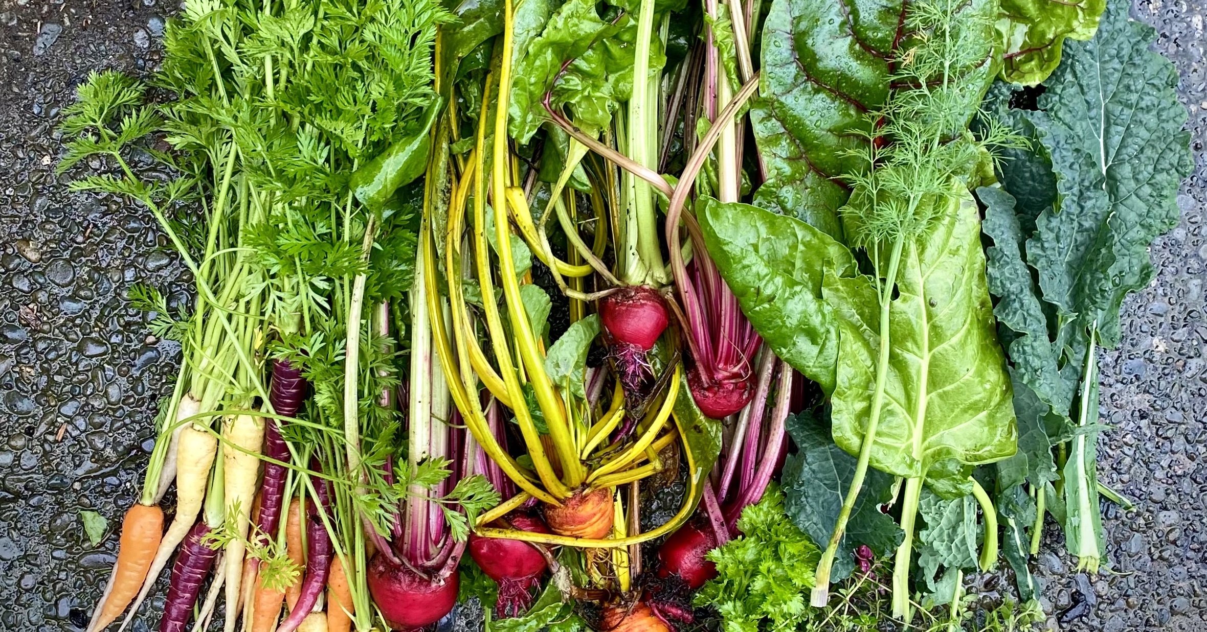 Fruit for all with new app, Magic Beans - Idealog