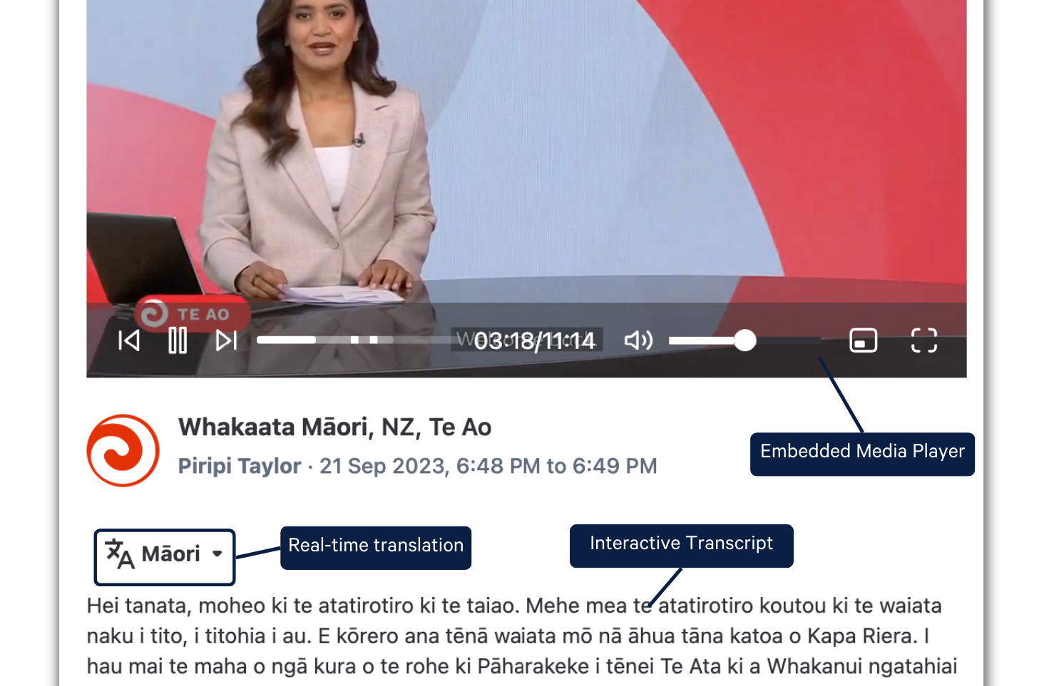 AI helps Kiwis engage with te reo Māori by watching TV - Idealog
