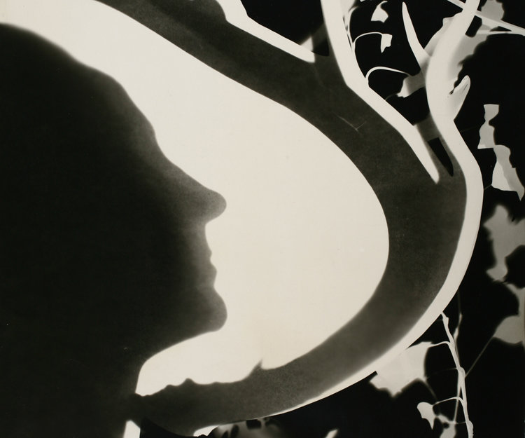 Emanations: The Art of the Cameraless Photograph - Idealog