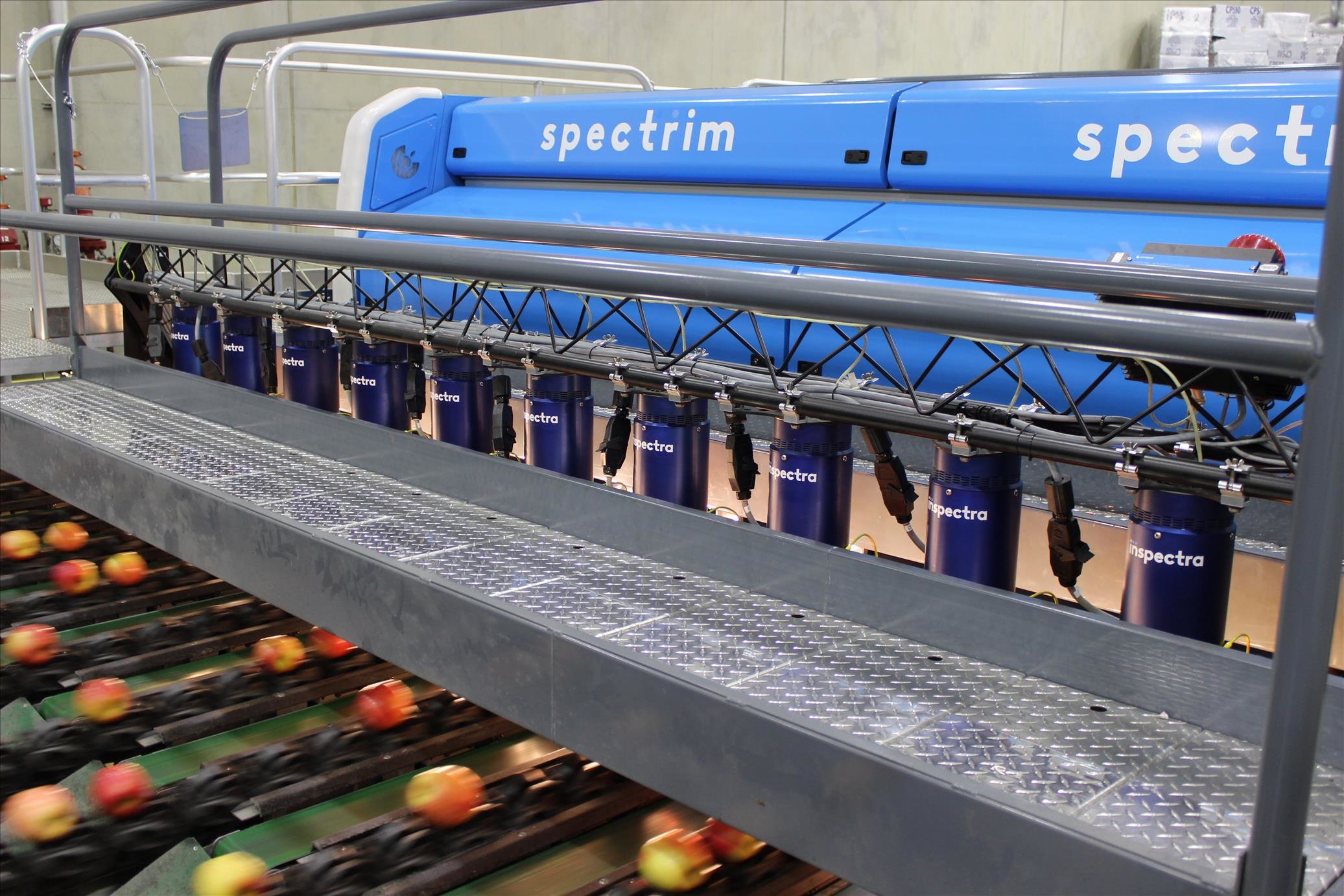 Idealog Podcast: Compac and the high-tech world of fruit sorting - Idealog